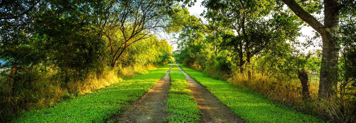 Home | Two Rivers Wealth Advisors